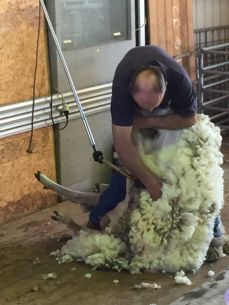 Gallery - City Rural Insurance Brokers in Adelaide South Australia