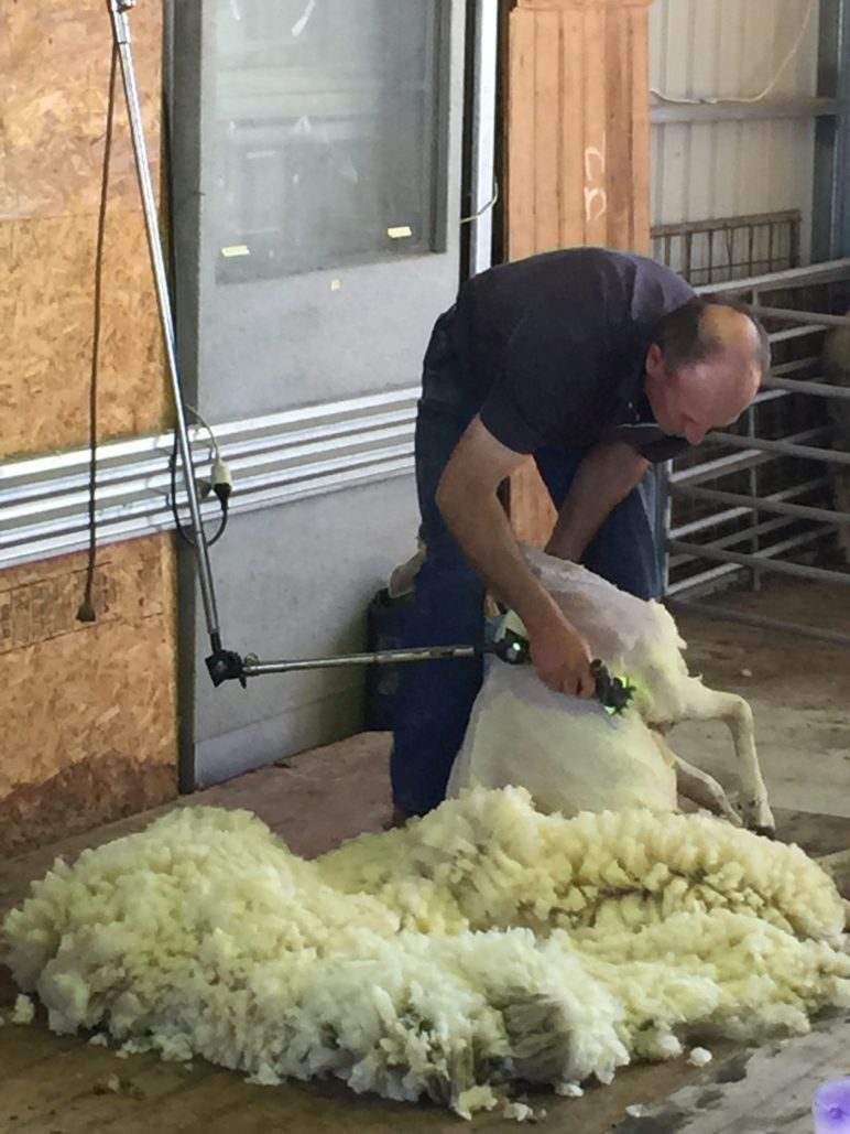 Gallery - City Rural Insurance Brokers in Adelaide South Australia