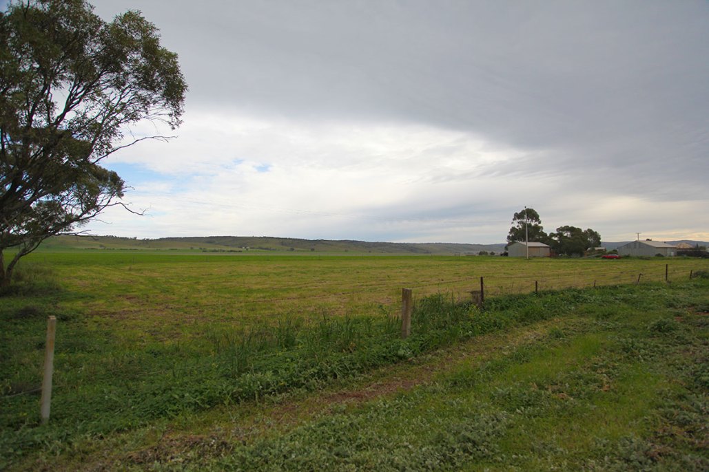 Gallery - City Rural Insurance Brokers in Adelaide South Australia