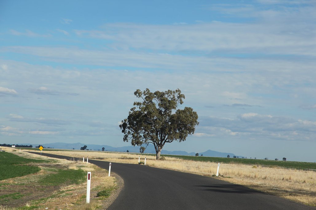 Gallery - City Rural Insurance Brokers in Adelaide South Australia