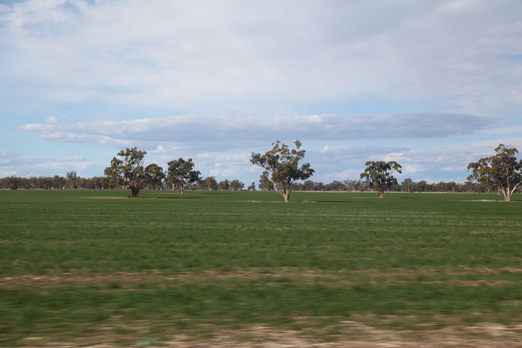 Gallery - City Rural Insurance Brokers in Adelaide South Australia