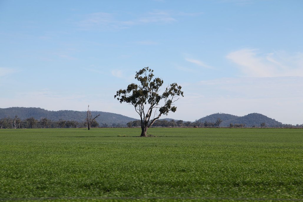 Gallery - City Rural Insurance Brokers in Adelaide South Australia